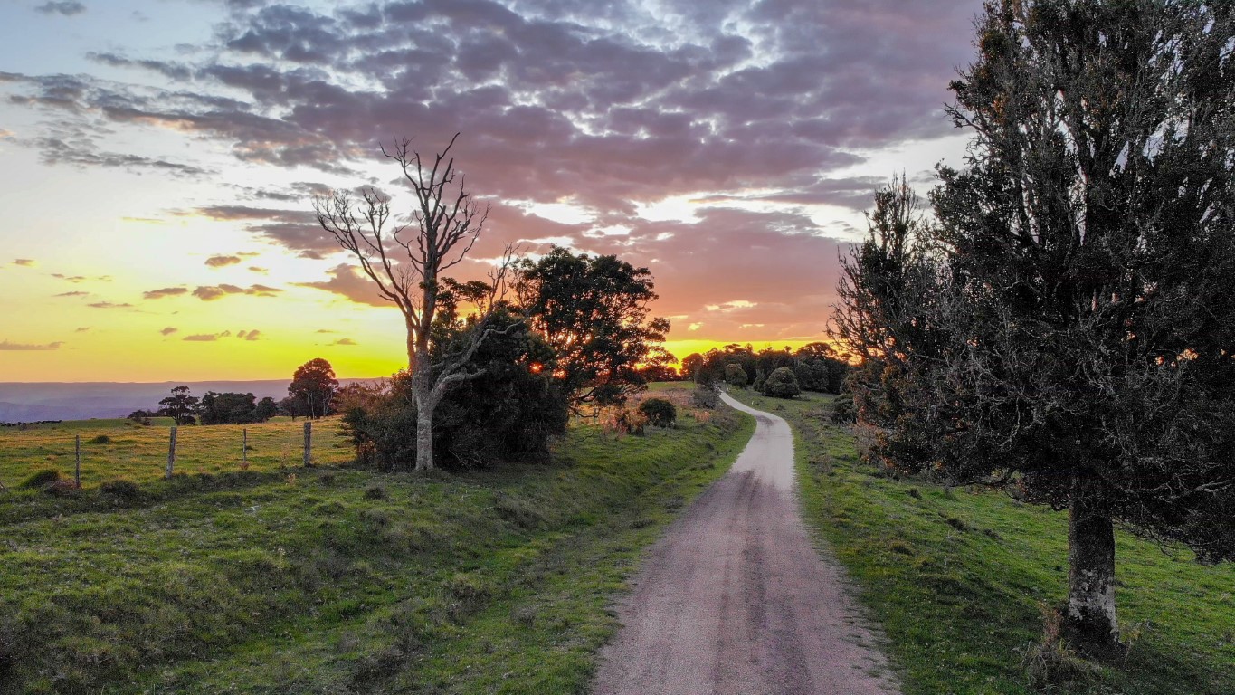 Countdown to UBR 2026 – Untamed Border Events